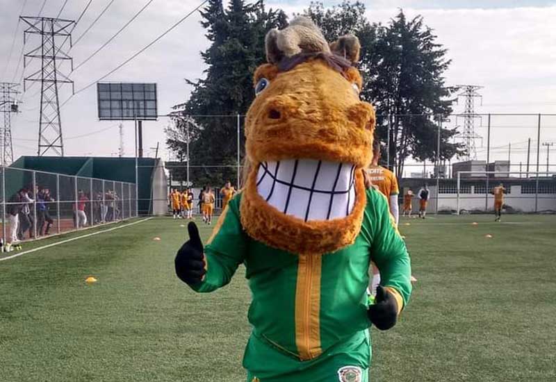 "Kuako" de la UAEM a la semifinal del Torneo Mundial de Mascotas