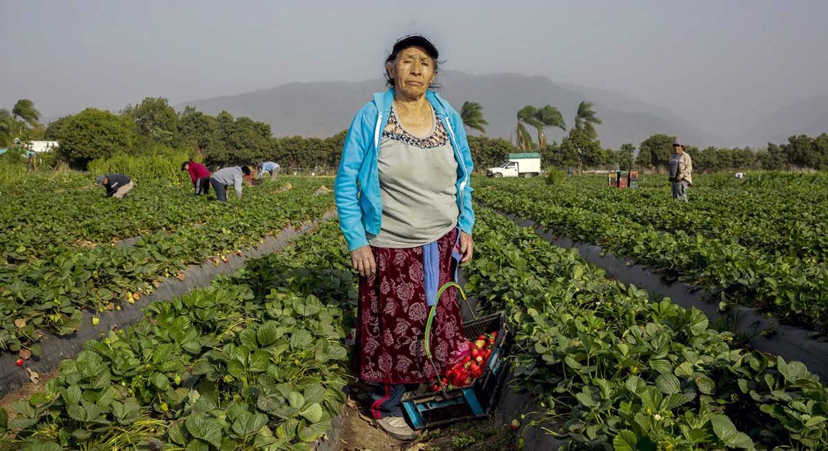 Mujer rural, la clave para el campo mexicano