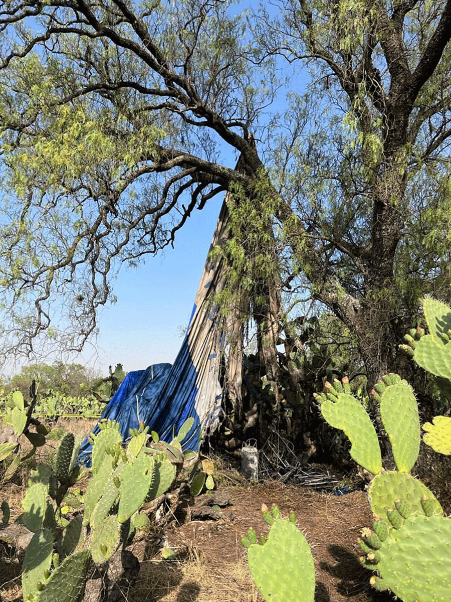Se incendia globo aerostático en pleno vuelo sobre la zona arqueológica ...