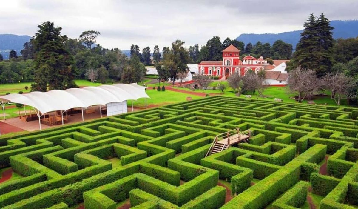 Lánzate al laberinto inglés de 5 mil metros cuadrados ¡Está en el EdoMéx!