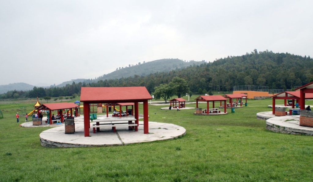 ¿Ya conoces el parque Alameda Norte? Visítalo, se encuentra en Toluca