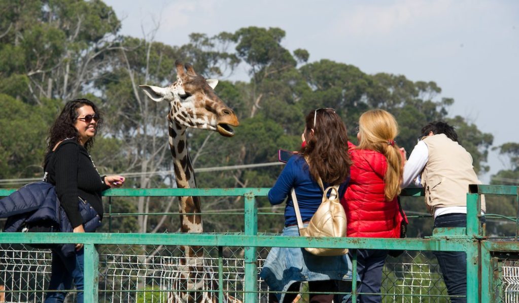 Recomendaciones para visitar el Zoológico de Zacango en el Valle de Toluca
