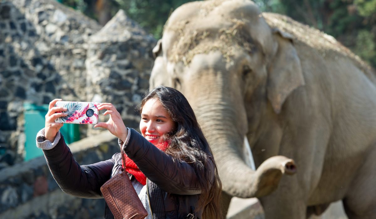 Recomendaciones para visitar el Zoológico de Zacango en el Valle de Toluca