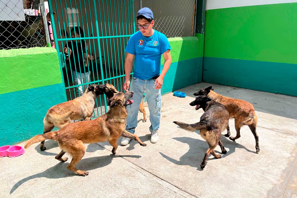 Toluca protege a los perros rescatados en Zopilocalco