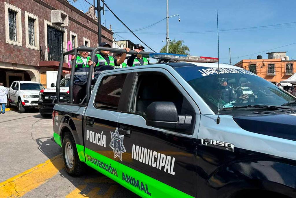 San Mateo Atenco rescata a dos perros maltratados y refuerza la ...
