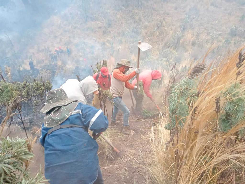 Consolida Toluca su Brigada Forestal como escudo verde para frenar ...