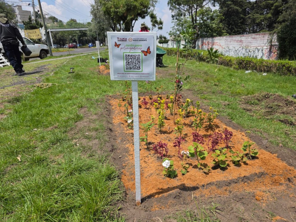 Toluca apuesta por la biodiversidad: instalará 100 jardines ...